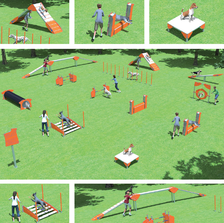 PARCOURS AGILITY POUR CHIENS - Industrias Agapito
